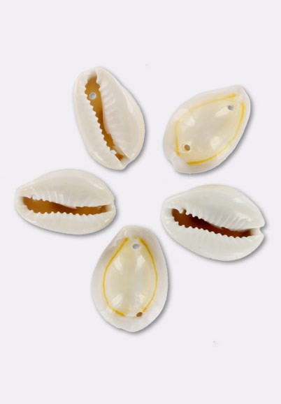 Cauri coquillage Cauri naturel 2 trous x2 - Formes en nacre - Perles de ...